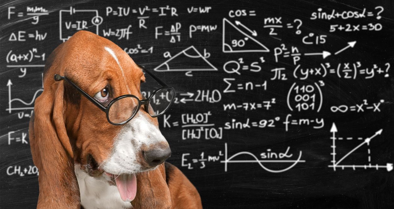 Are You A Mental Math Genius? Solve These Questions