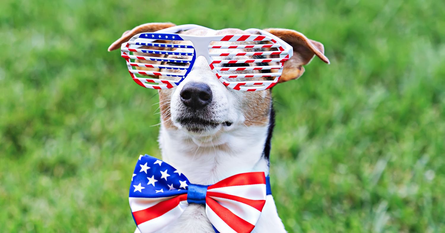 10 things that are normal in the U.S., but weird everywhere else