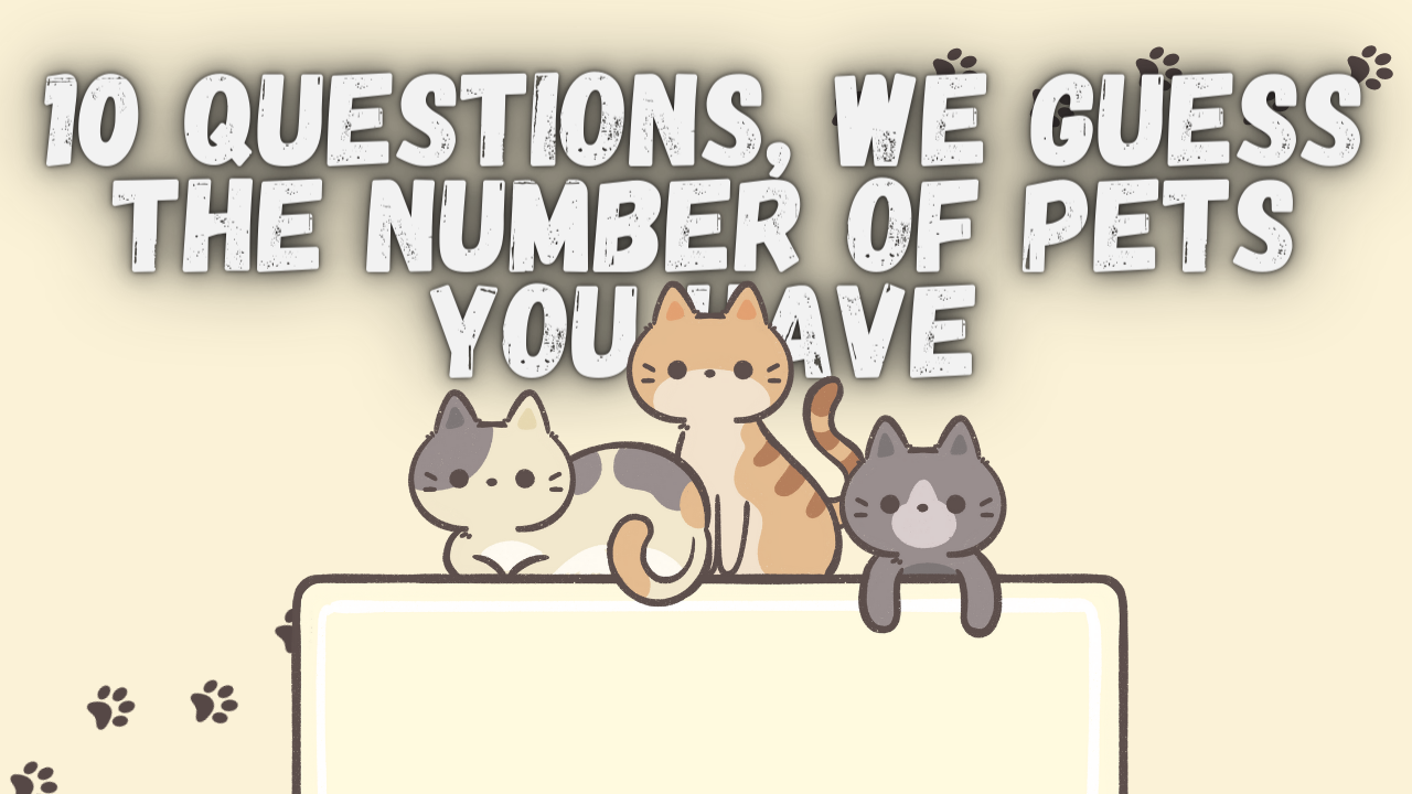 We Can ACCURATELY Guess How Many Pets You Have
