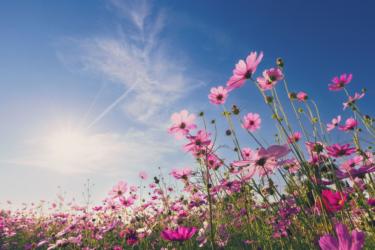 How Much Do You Really Know About Spring