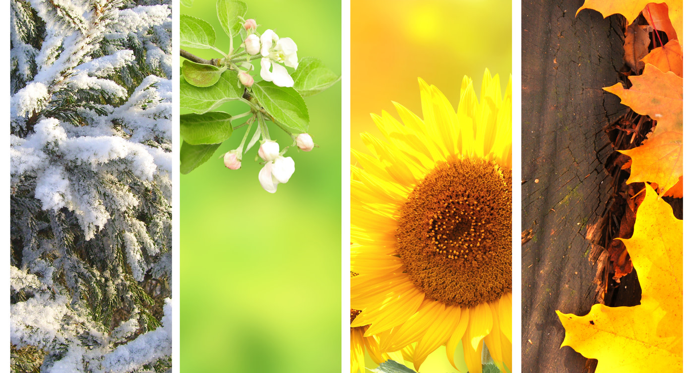 What Season Do You Really Thrive In?